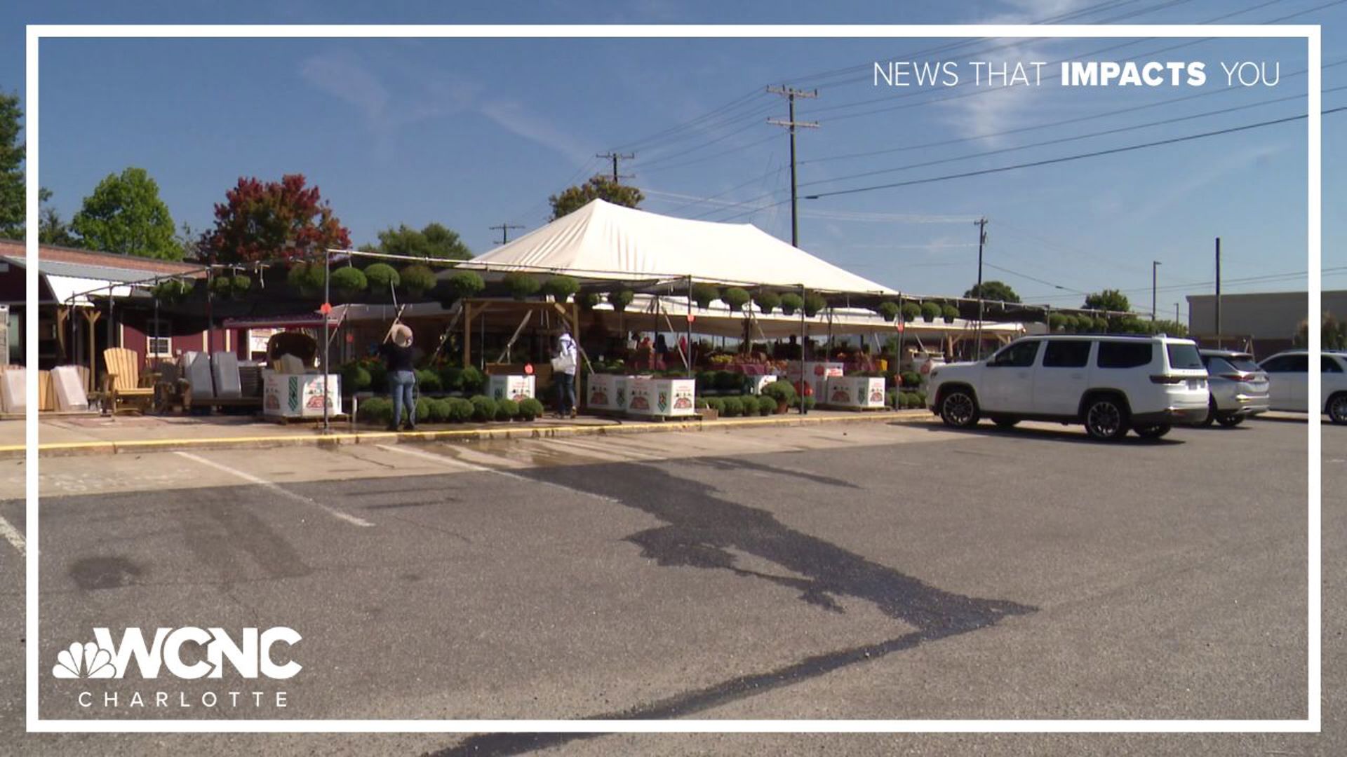 Cheap Joe's Art Stuff closing its NC stores after 40 years in business ...