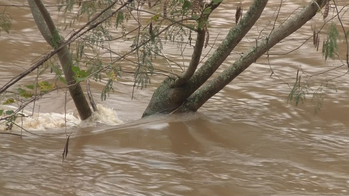 How you can mitigate flooding in your own backyard | wcnc.com