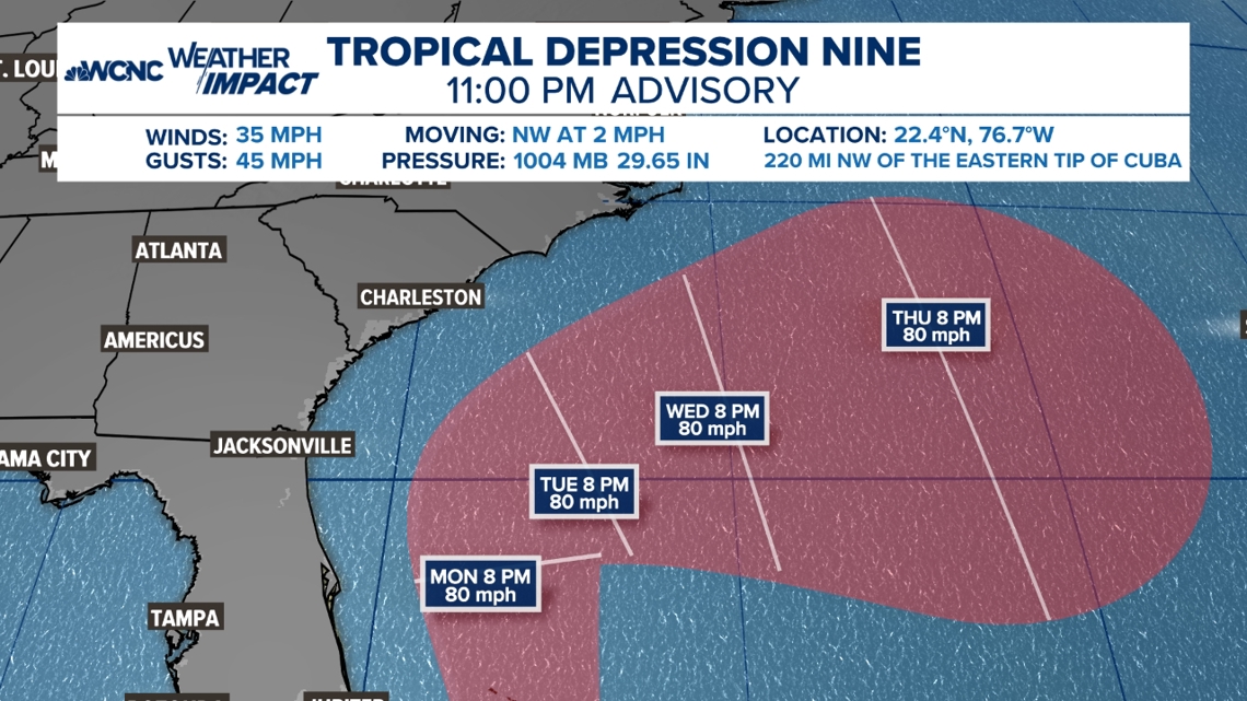 Stand For Animals has a mission in Charlotte | wcnc.com