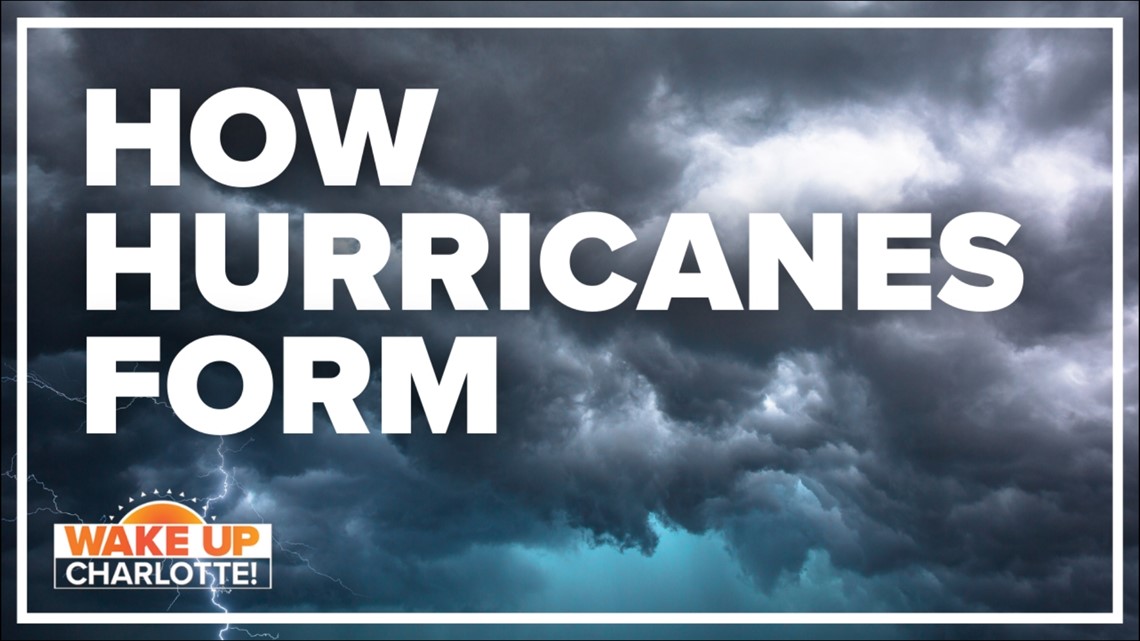 Weather IQ: How hurricanes form | wcnc.com