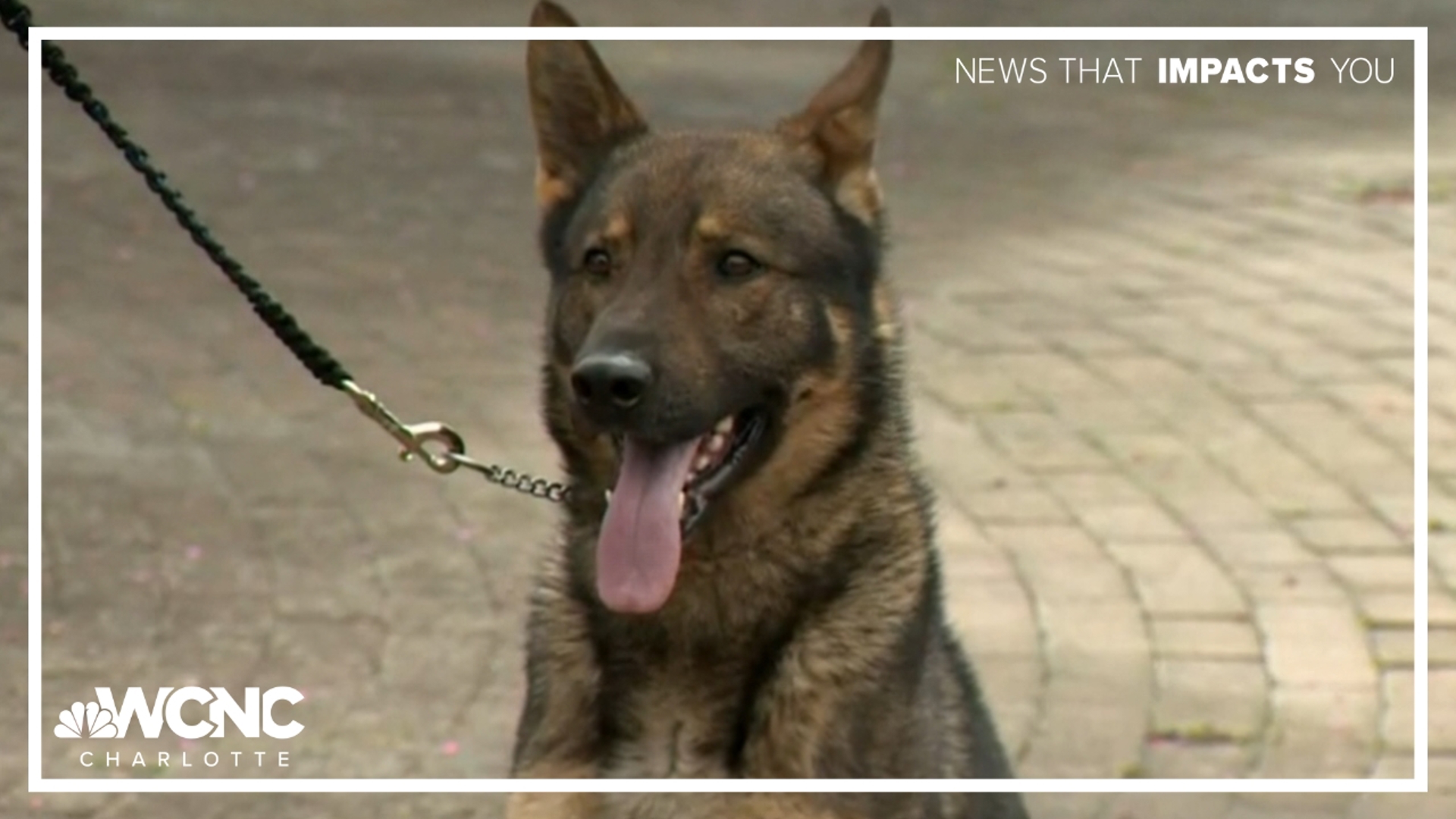 Union County, N.C. sheriff defends hiring deputy accused of mishandling K-9 | wcnc.com