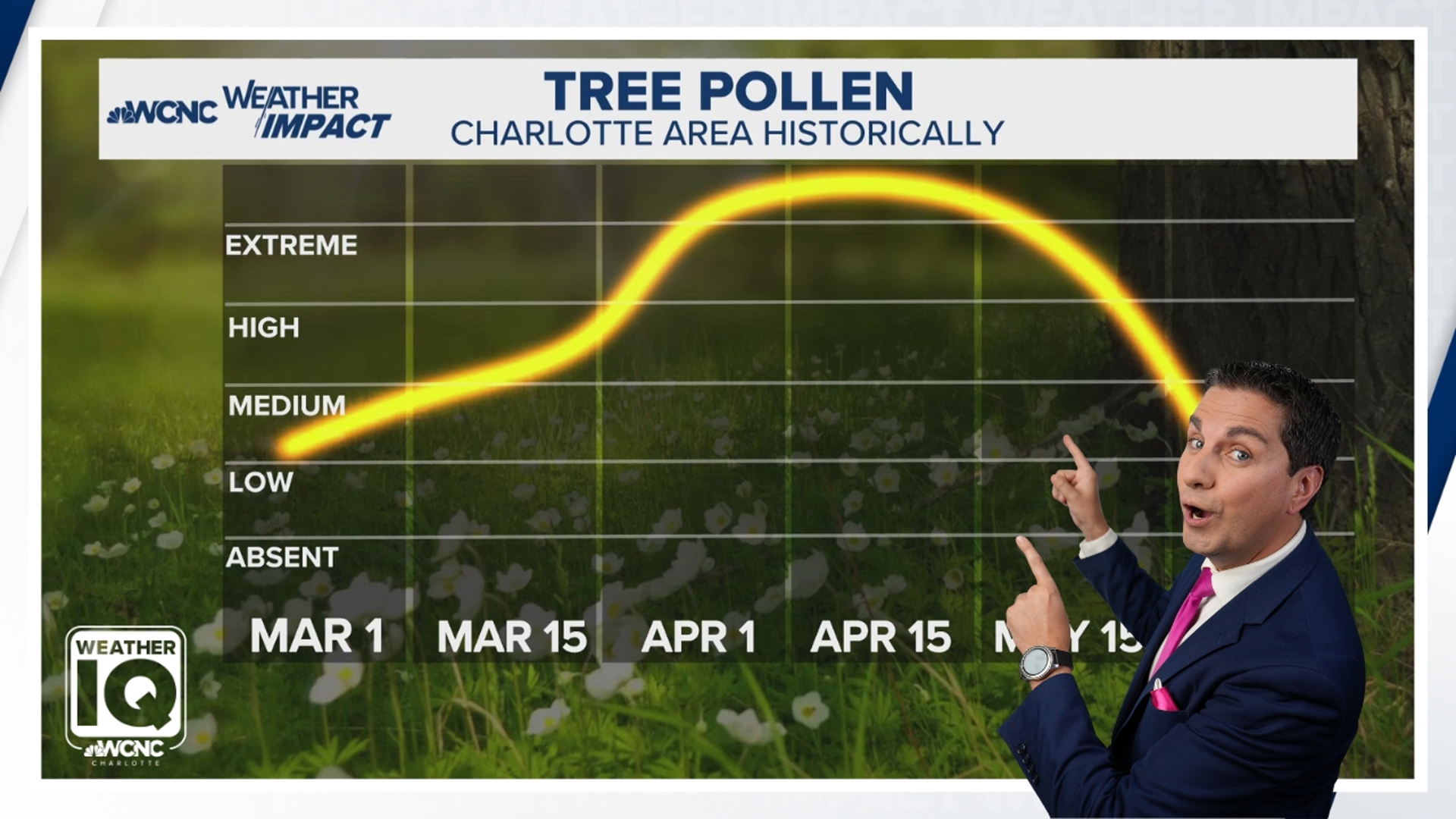 NC pollen levels are on the rise. Here's what you need to know | wcnc.com