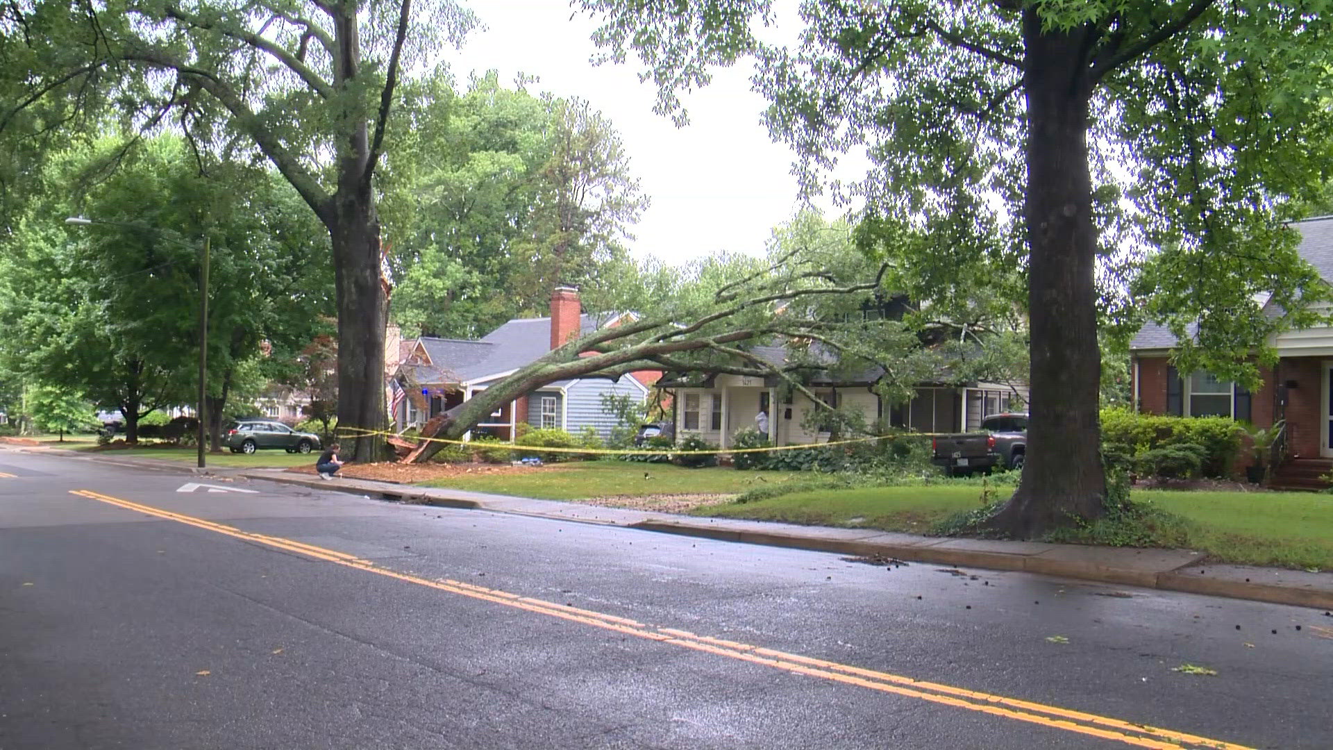 Tree collapses onto home in Plaza Midwood | wcnc.com