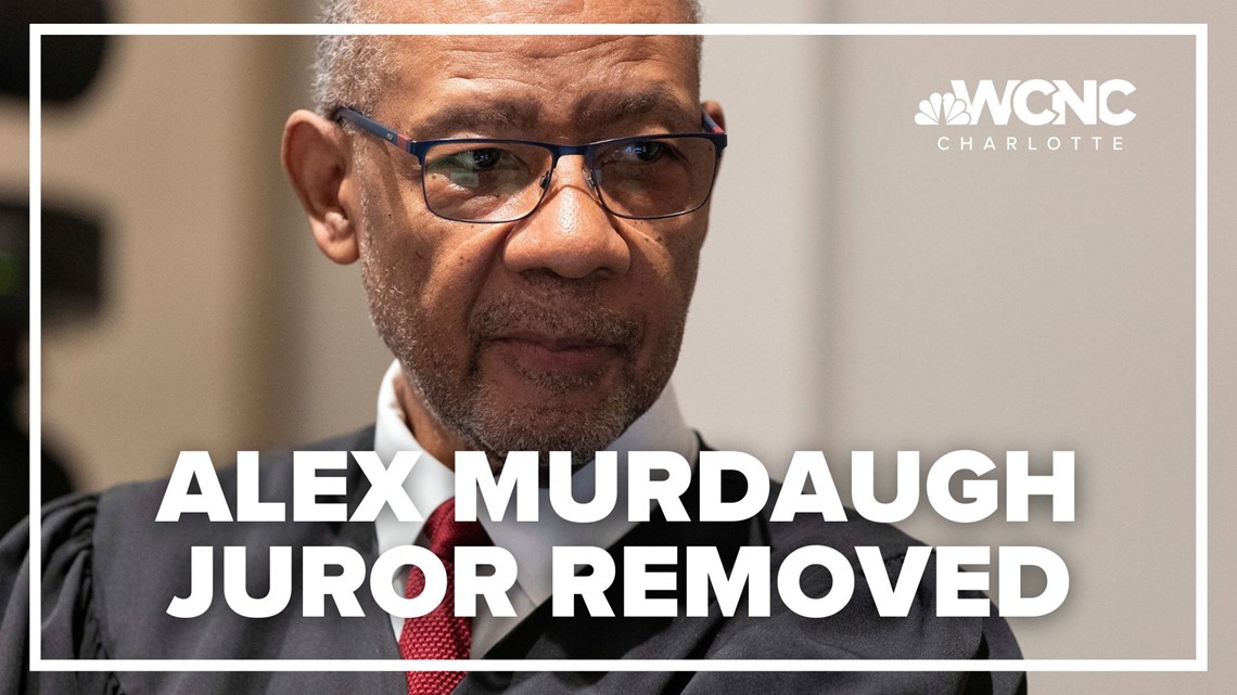 Judge removes juror from Alex Murdaugh murder trial | wcnc.com