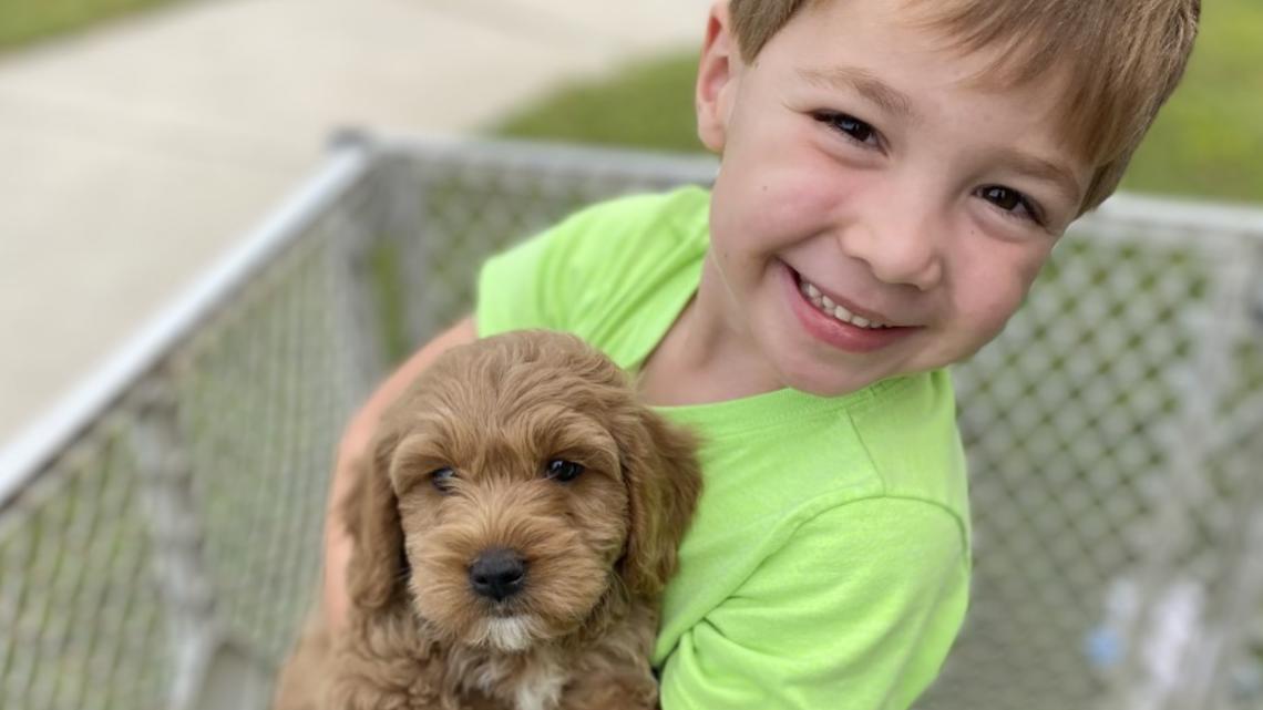 Charlotte mom's doodle Instagram page goes viral | wcnc.com