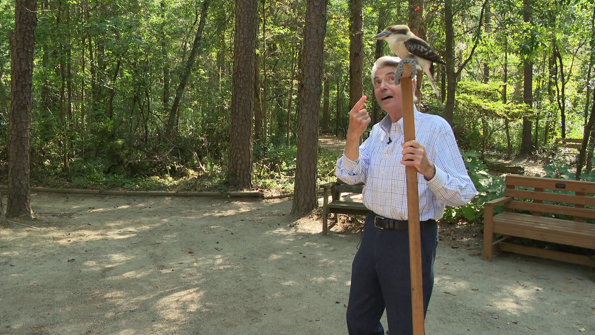 Going behind-the-scenes at the Carolina Raptor Center | wcnc.com