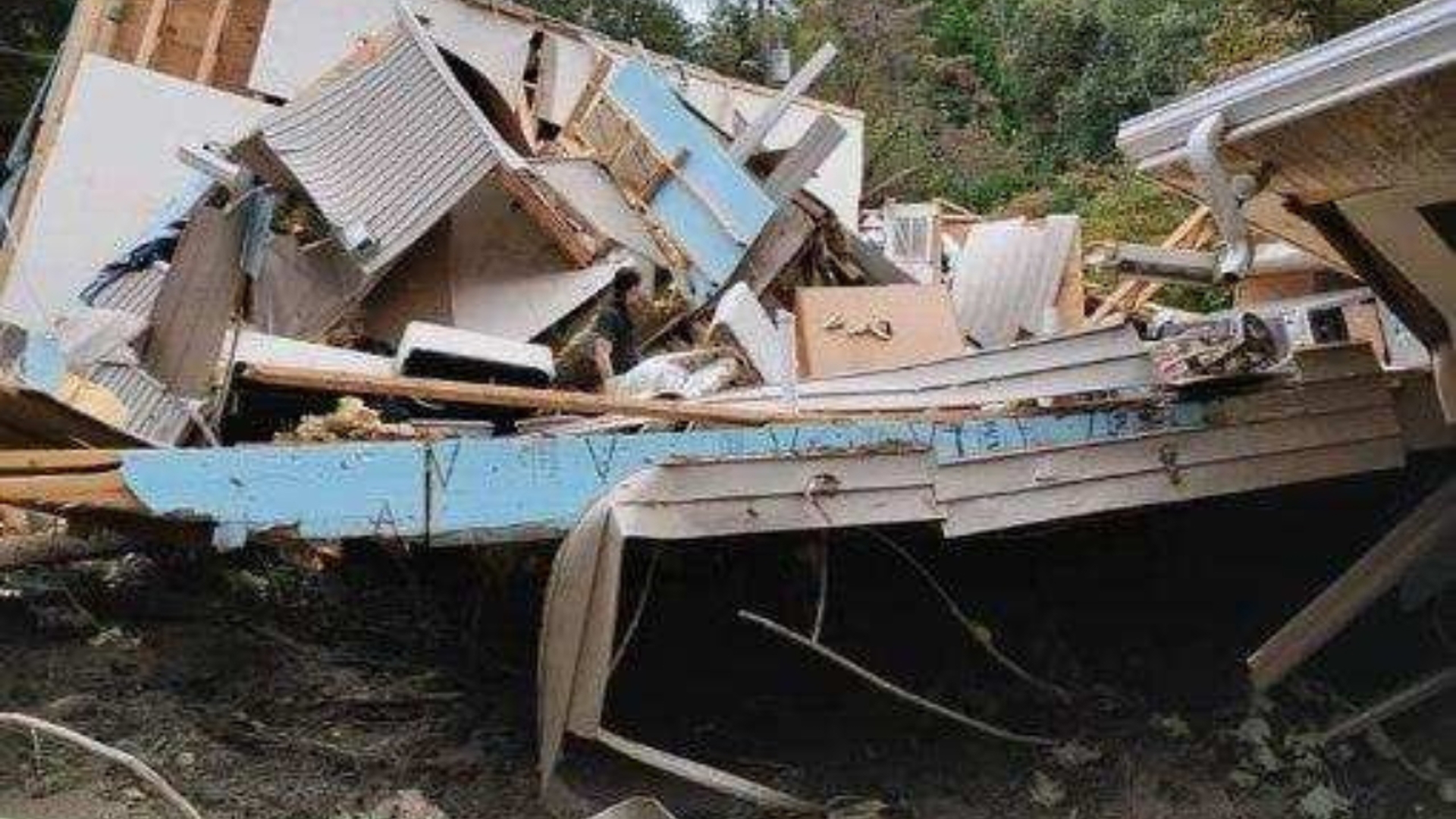 Family dog finds boy under rubble after Hurricane Helene | wcnc.com