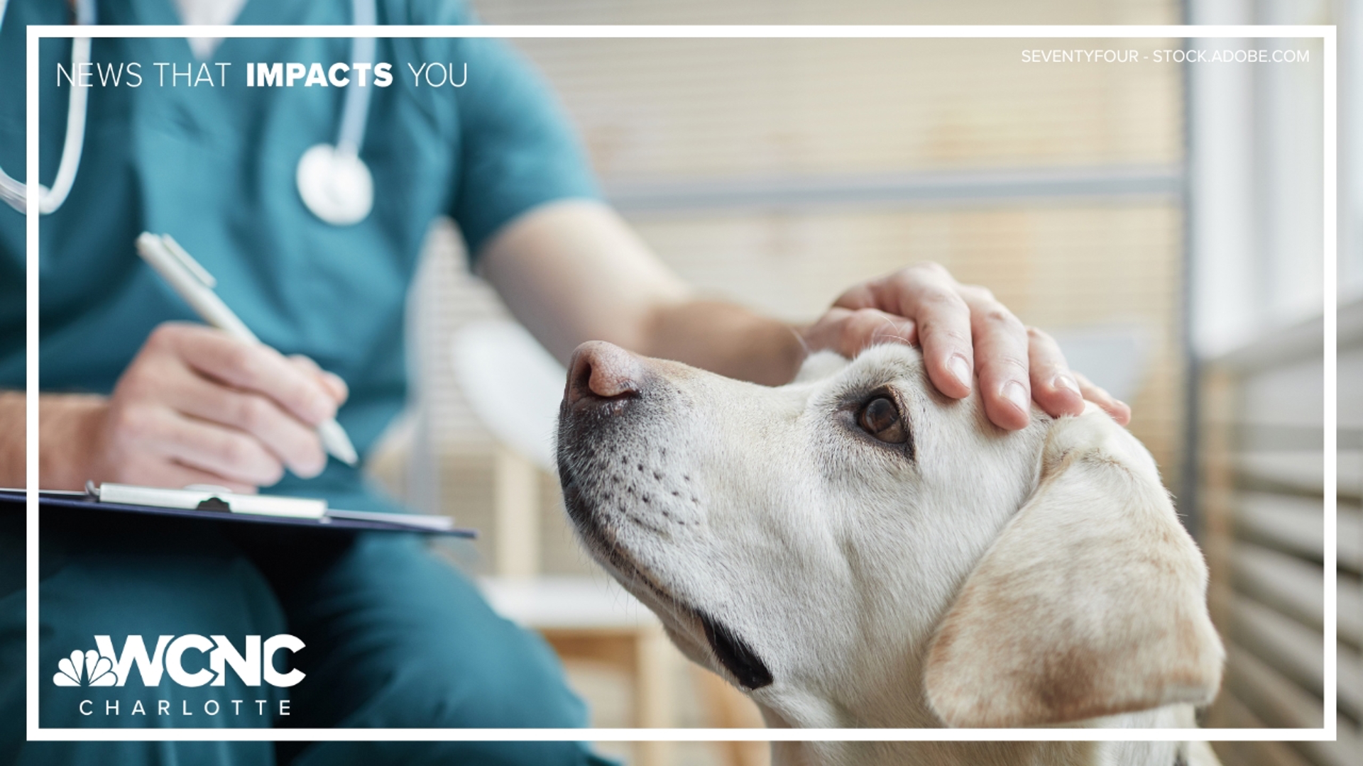 Pet insurance spending hits $4.7B as vet bills rise | wcnc.com