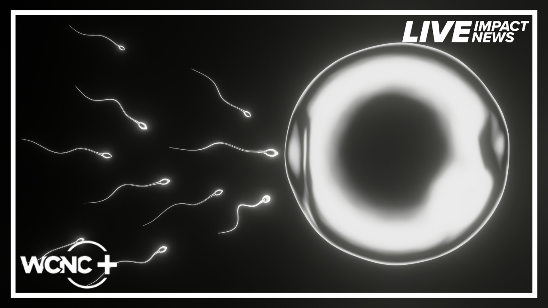 NC lawmakers debate on conception bill | wcnc.com