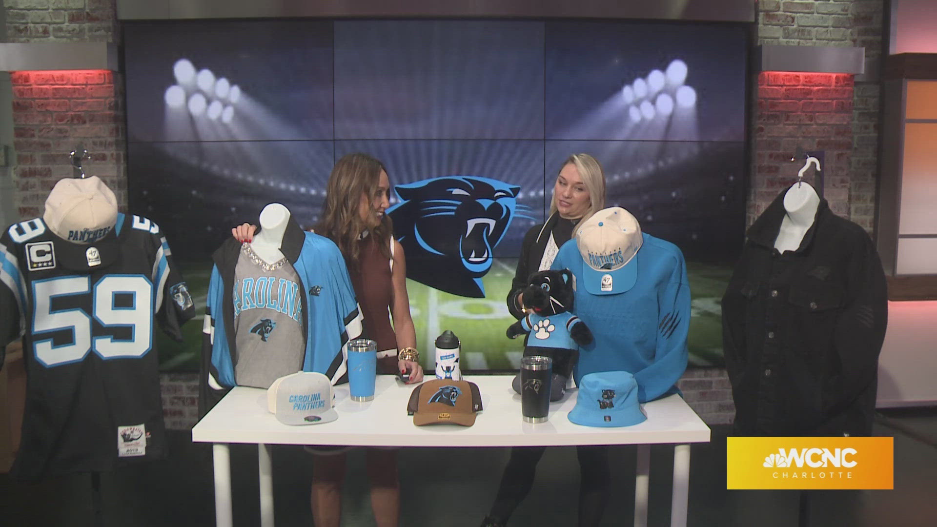 A Taste of Merchandise & Food at BofA Stadium | wcnc.com