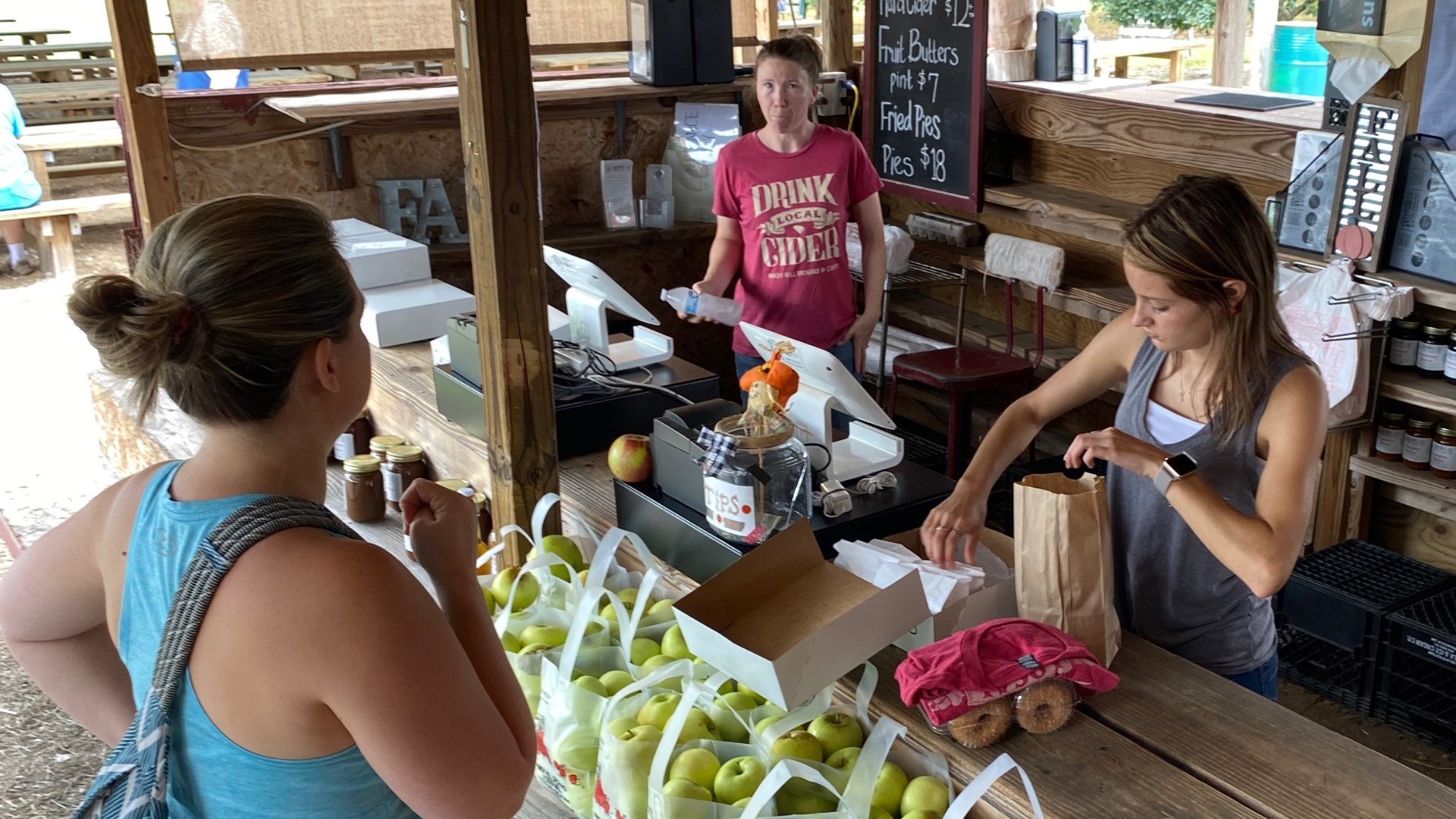 Windy Hill Orchard & Cider Mill: A hidden gem for fall family fun ...