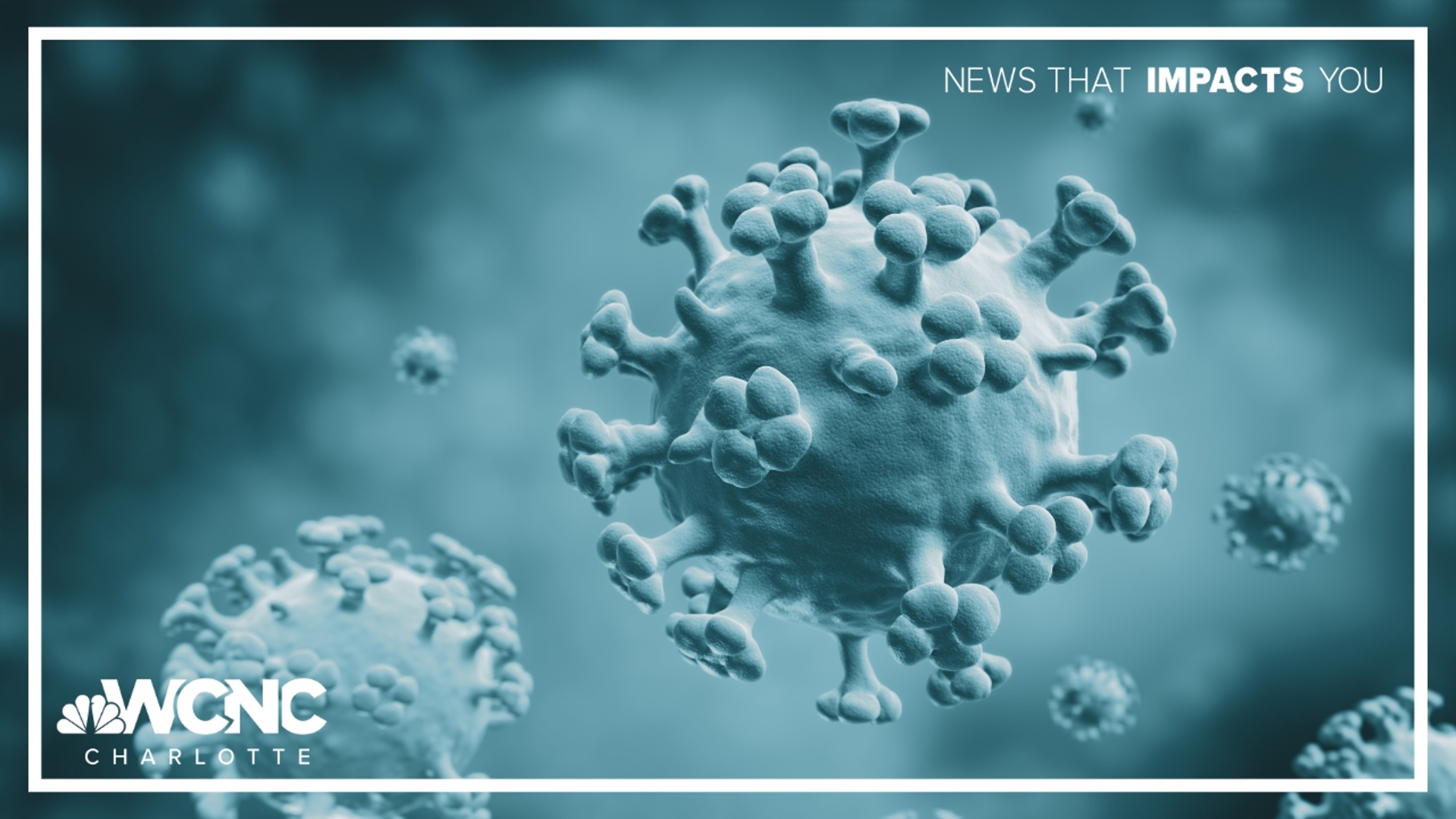 First 2025 flu-related death reported in South Carolina | wcnc.com