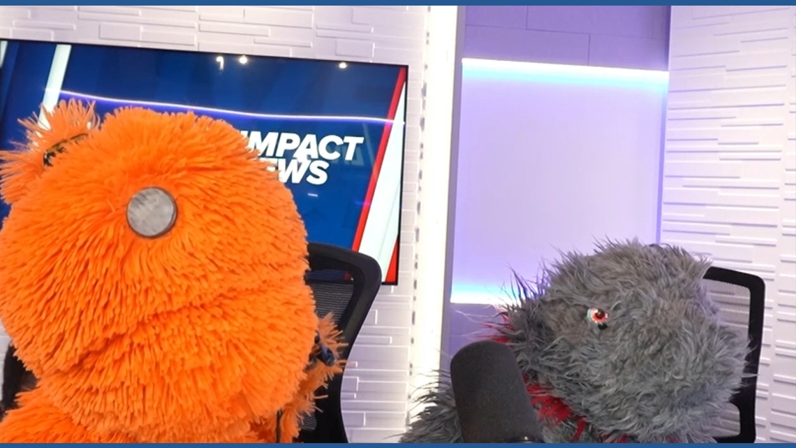 Charlotte movie night mashes up furry friends and frightening flicks ...