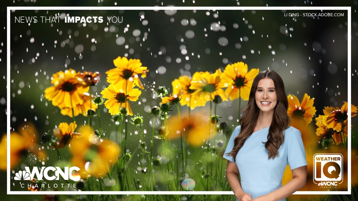 Do April showers actually bring May flowers in the Carolinas? | Weather IQ | wcnc.com