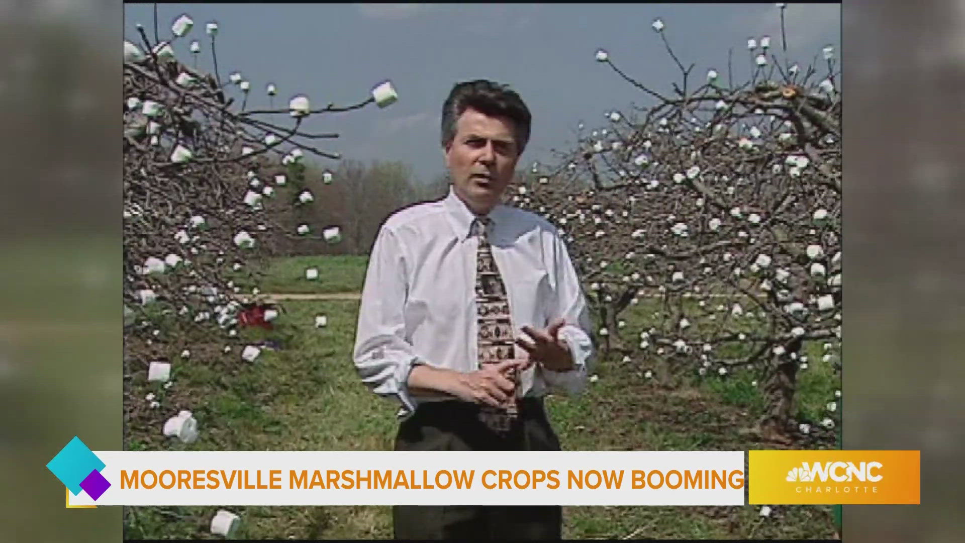 April Fool’s Day is in full effect | wcnc.com