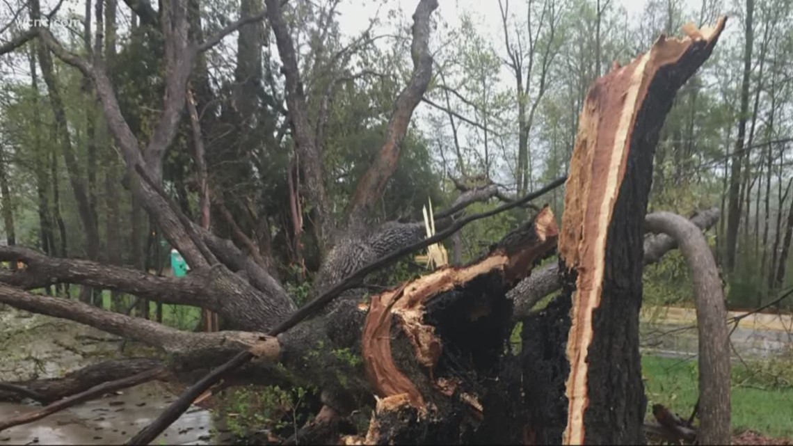 Severe storms could have drastic effect on Charlotte power lines | wcnc.com