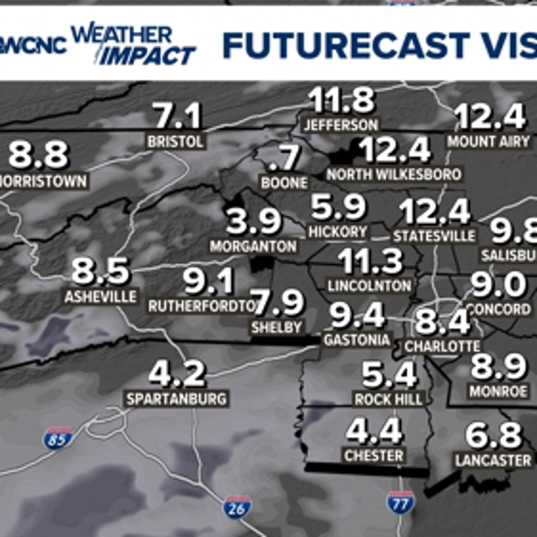 Lisa Washington | wcnc.com