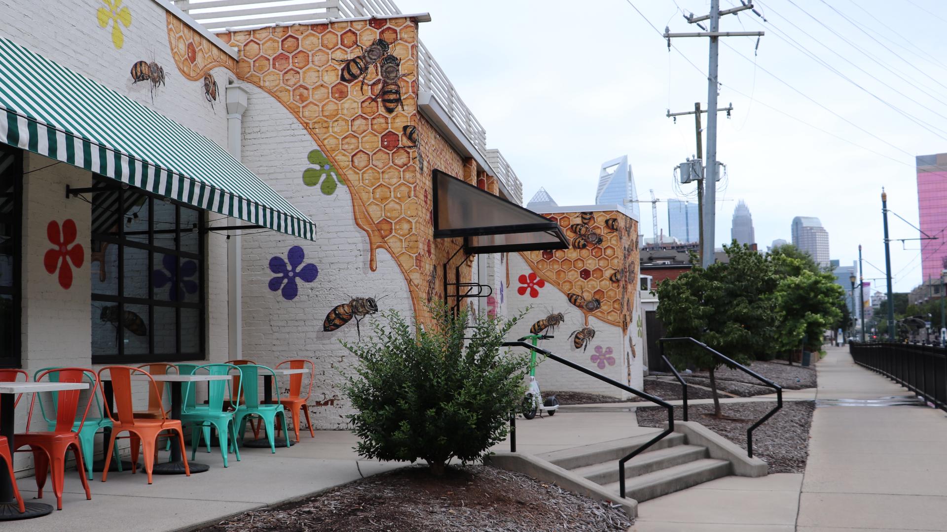 Artist on a mission to paint 50,000 bees across the world | wcnc.com