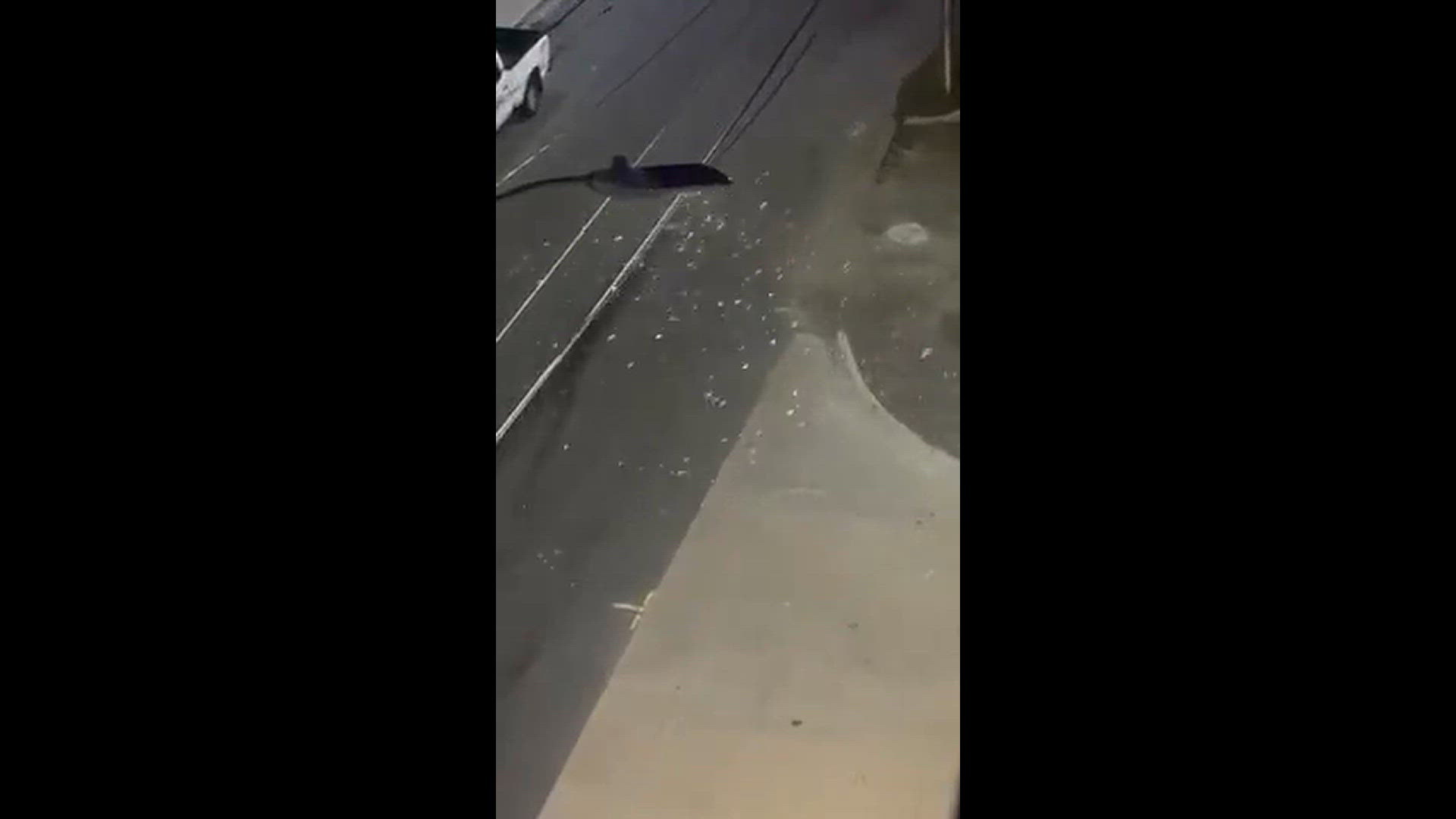 Snow flurries fall across Charlotte during November Arctic blast | wcnc.com