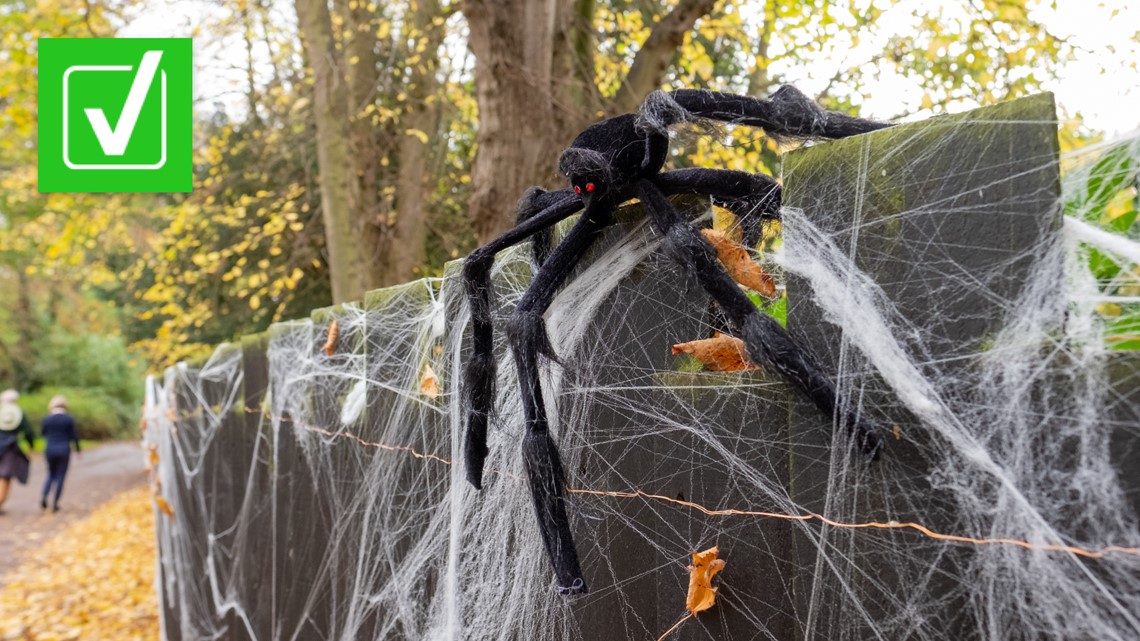 Are fake spiderwebs bad for wildlife? | wcnc.com