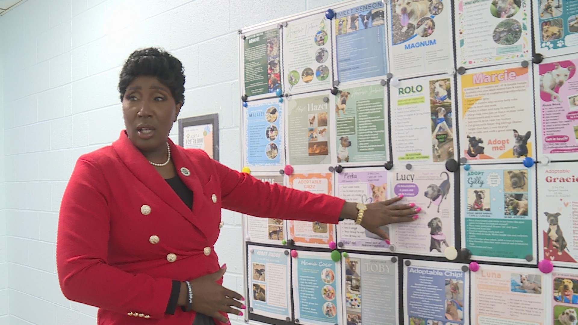 Charlotte animal shelter at capacity, discussing expansion | wcnc.com
