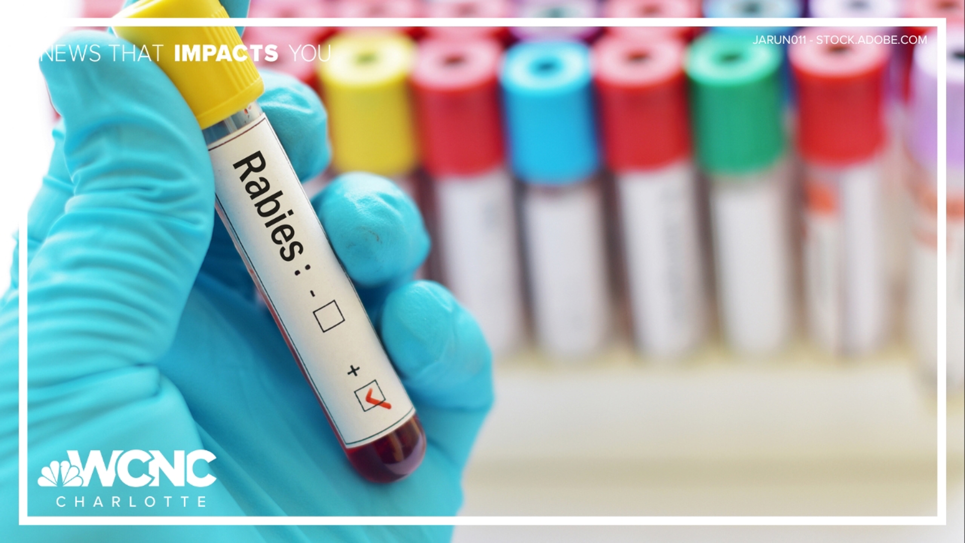 CDC tracks likely rabies outbreaks across 12+ US states | wcnc.com