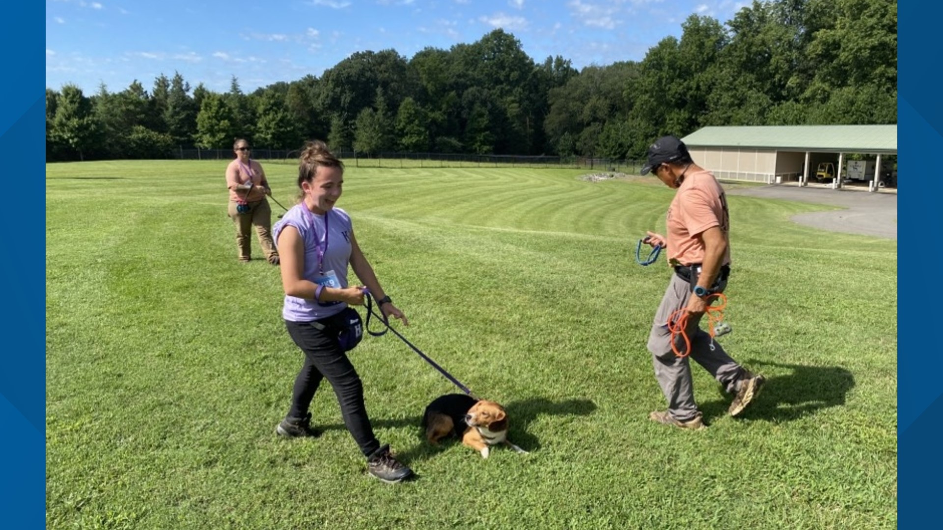 Helping animals even if you can't adopt | Clear the Shelters | wcnc.com