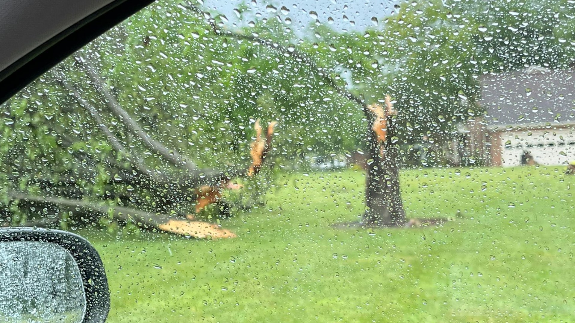 Strong storms take down trees, power lines in east Charlotte, NC | wcnc.com