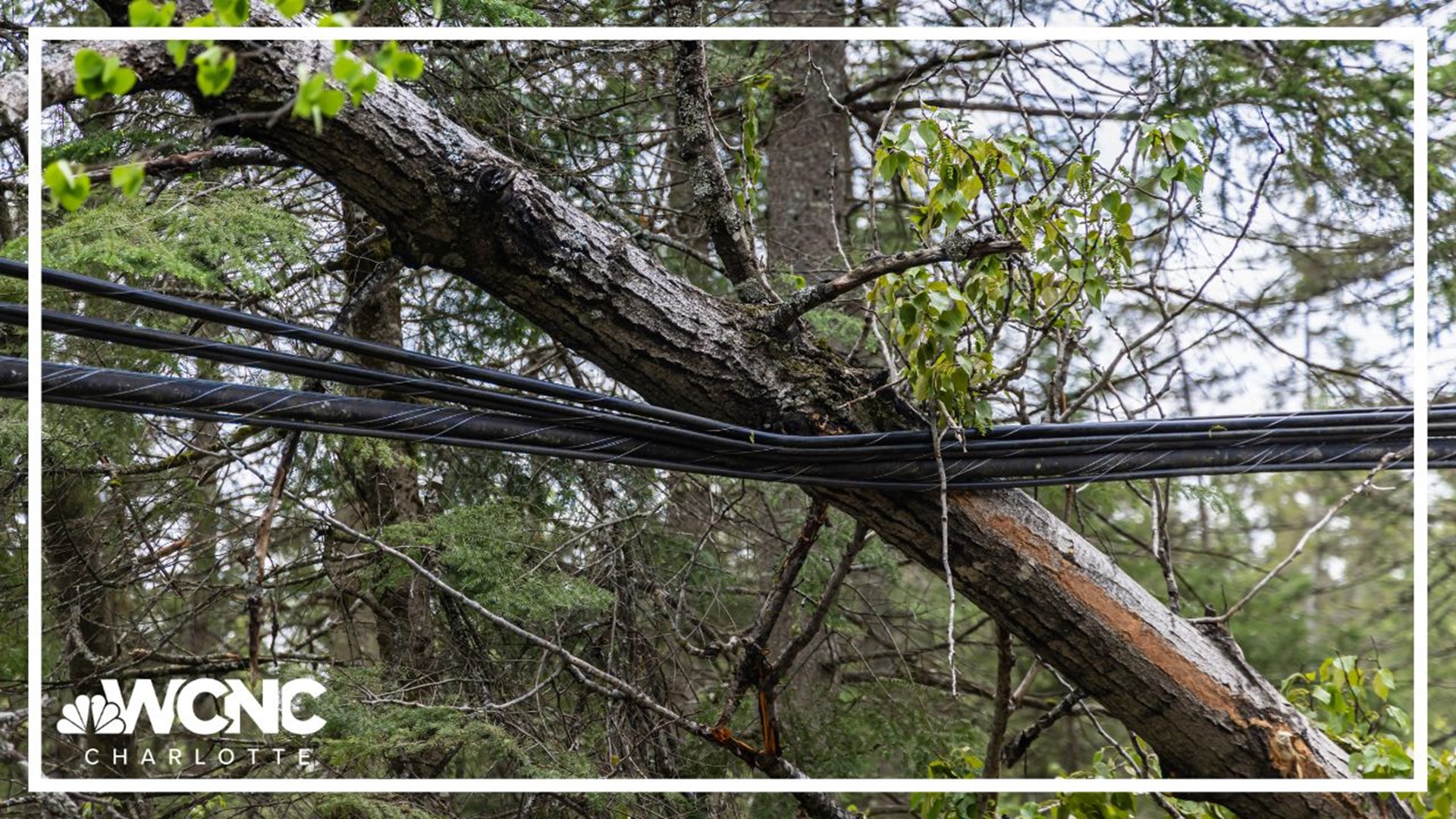 Duke Energy prepared for widespread power outages due to severe weather | wcnc.com