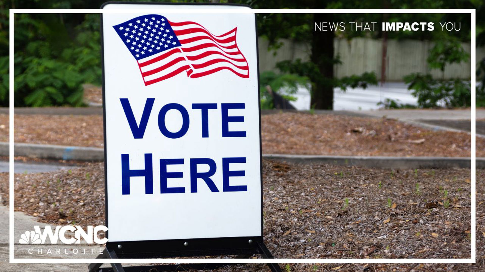 Early voting ends Saturday for North Carolina's pivotal primary ...