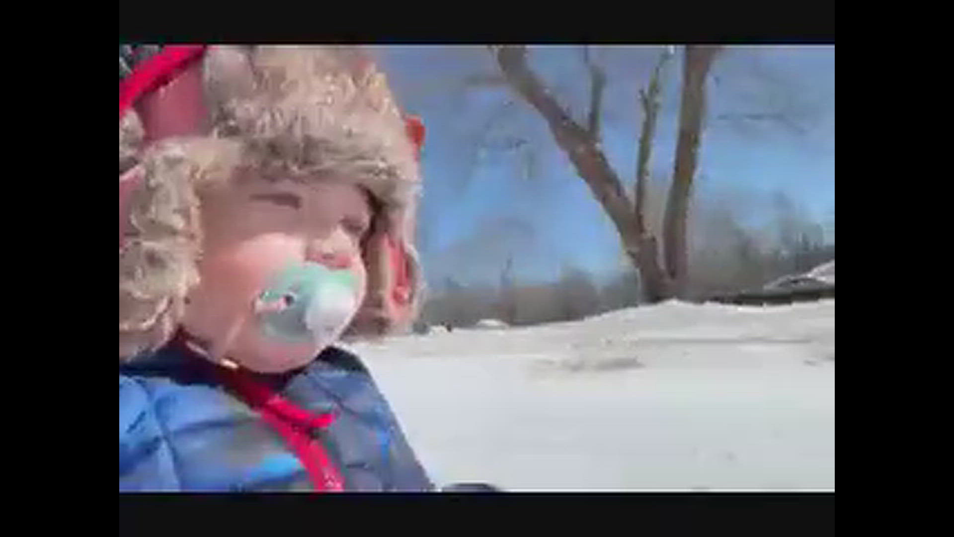 What are snow fleas? Why tiny black bugs show up on snowy days | wcnc.com