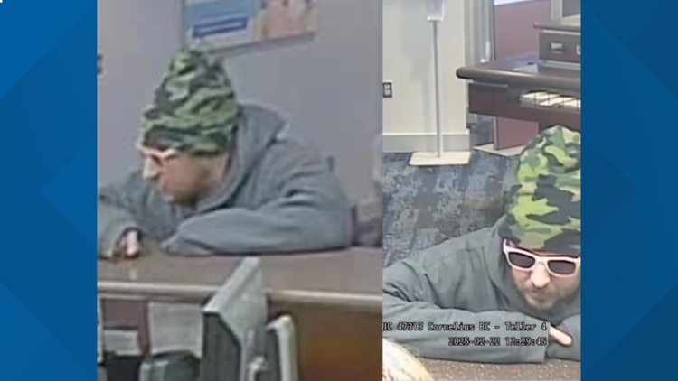 Are there more armadillos in NC? | wcnc.com