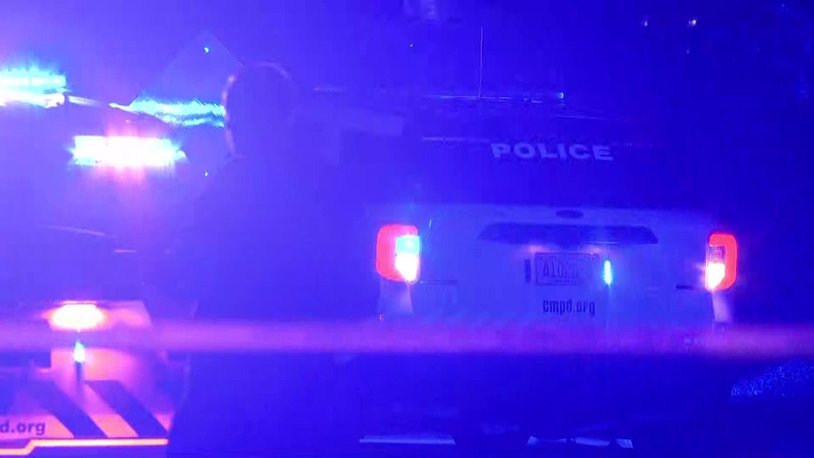 Are there more armadillos in NC? | wcnc.com