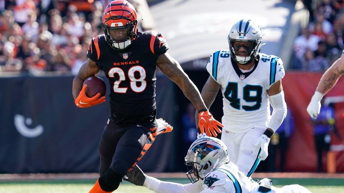 Panthers head to Cincinnati to face Bengals Sunday | wcnc.com