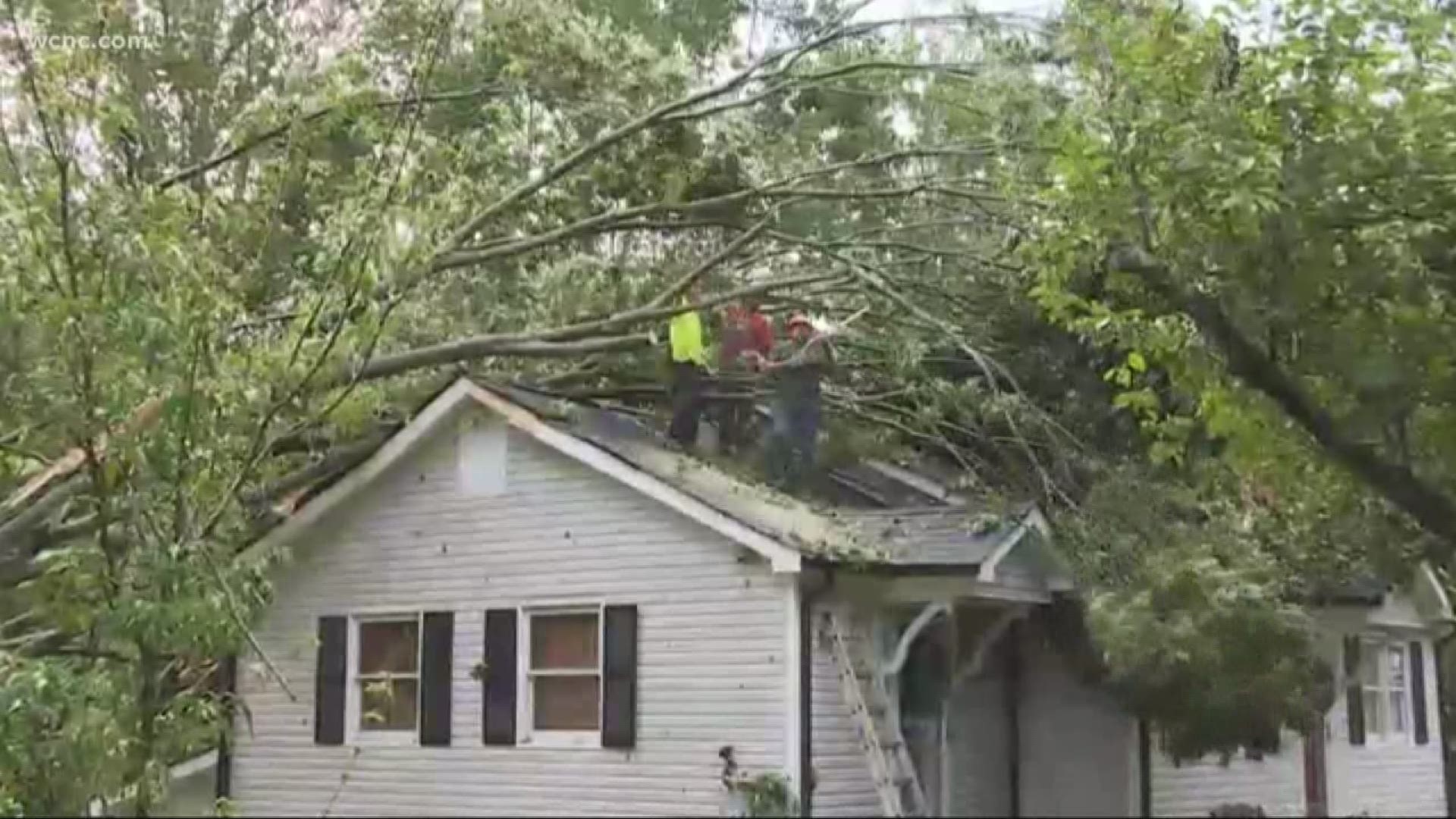 Microburst takes down trees along Lincoln/Gaston County line | wcnc.com