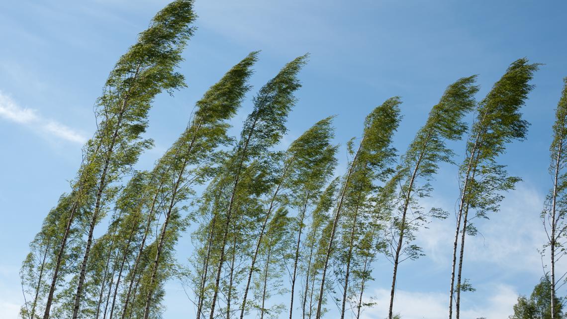 Windy weather explained: Why springtime is so breezy in the Carolinas ...
