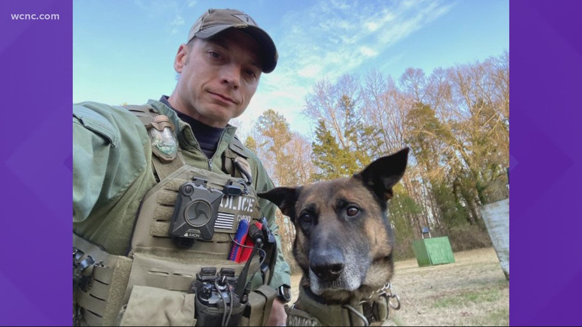 CMPD K9 back on the job after injury caused by barbed wire | wcnc.com