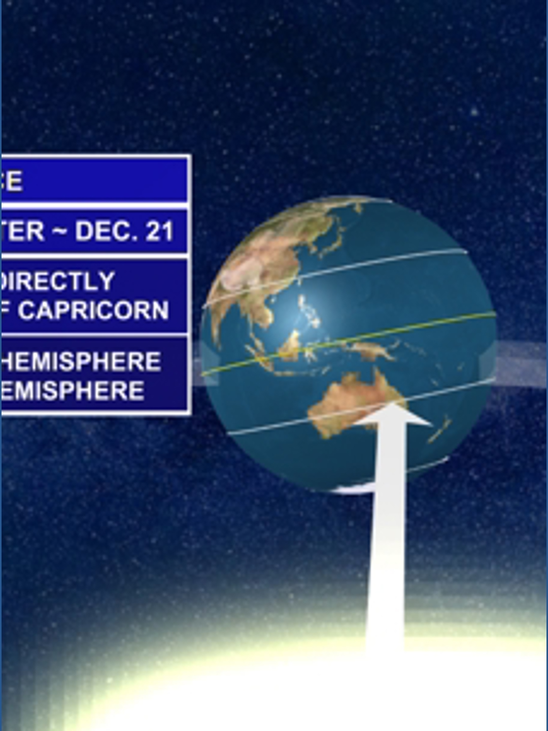 Felony charges possible after opossum set on fire in viral video | wcnc.com