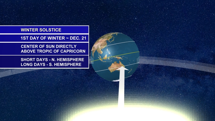 Felony charges possible after opossum set on fire in viral video | wcnc.com