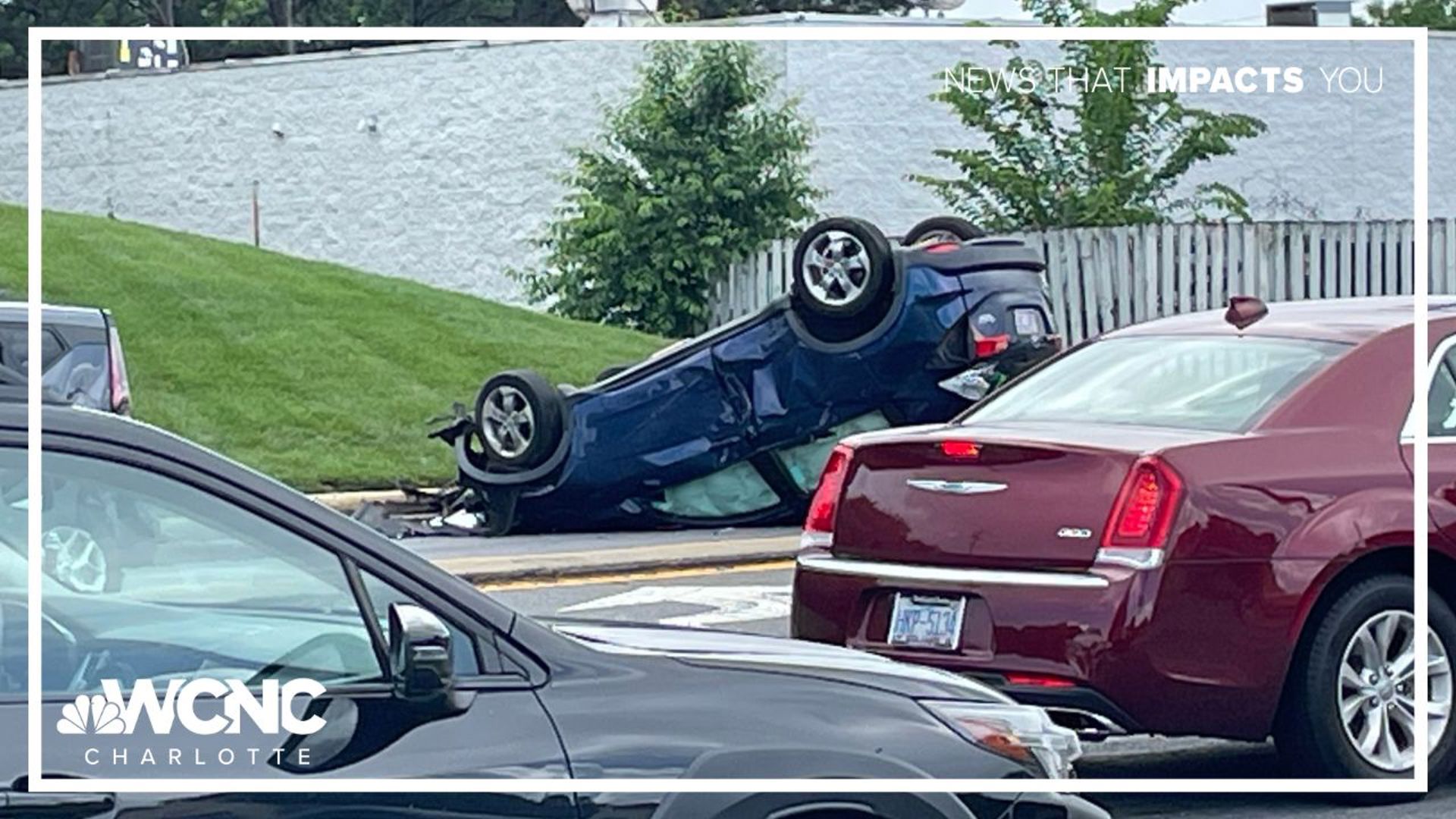 Gastonia PD's 'Bo the Bloodhound' to throw first pitch at Charlotte ...
