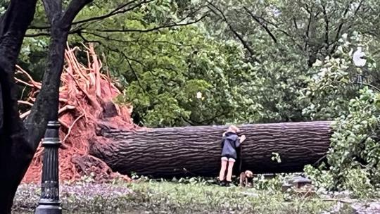 PHOTOS: Widespread damage as Helene sweeps through Carolinas | wcnc.com