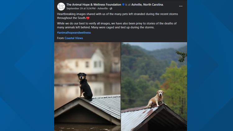 How to spot AI-generated Hurricane Helene photos | wcnc.com