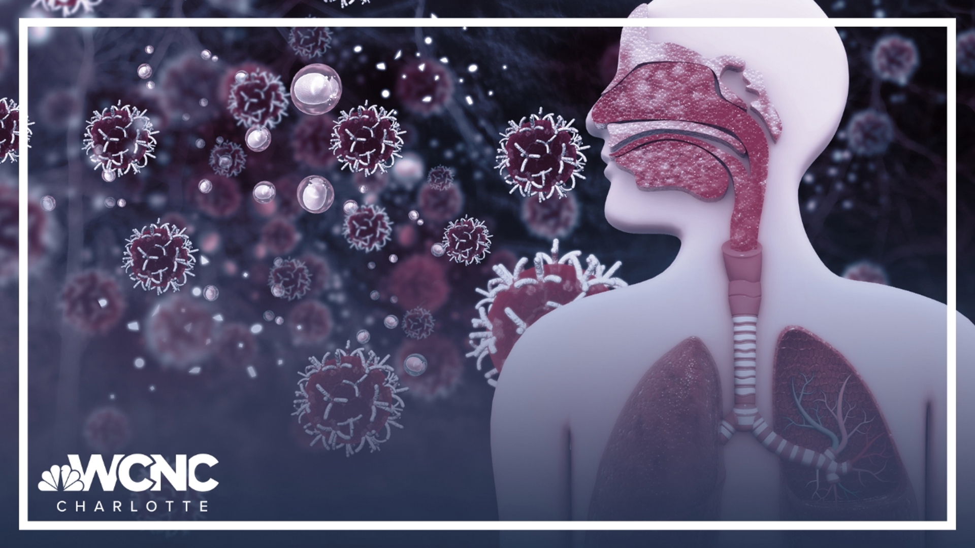 Respiratory illness prevention crucial in the Carolinas, experts say ...