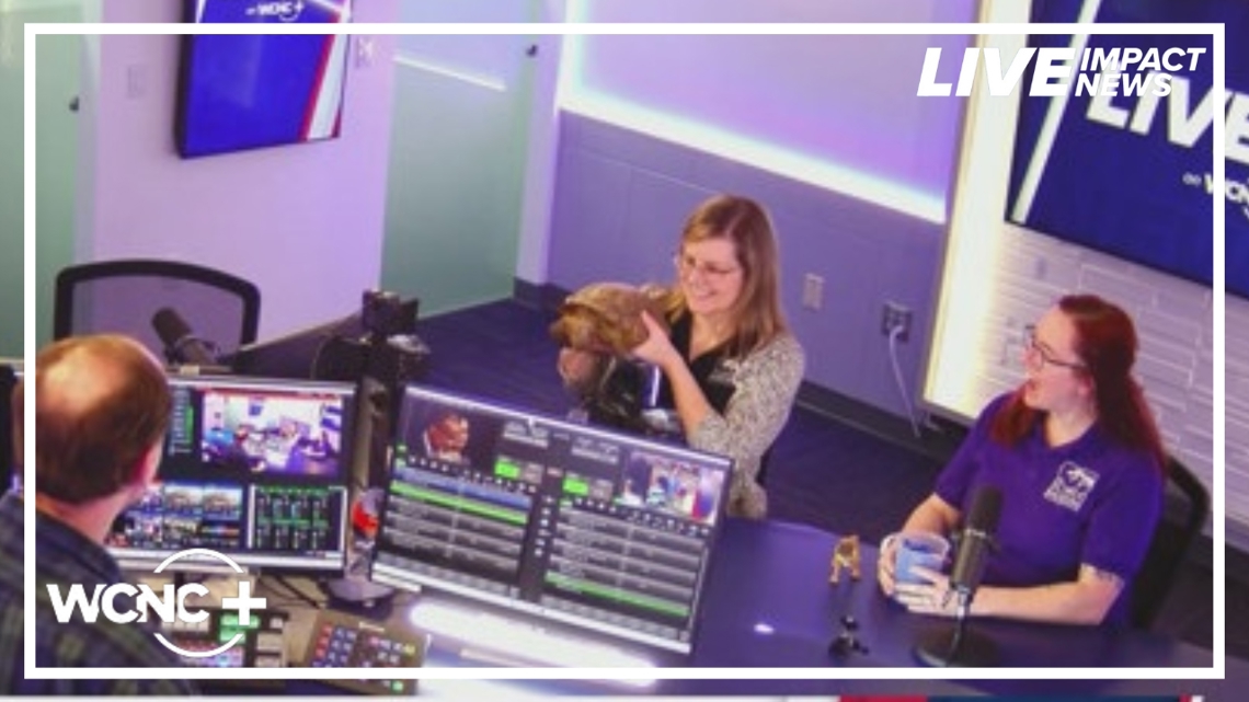 Schiele Museum introduces free STEM night in Gastonia | wcnc.com