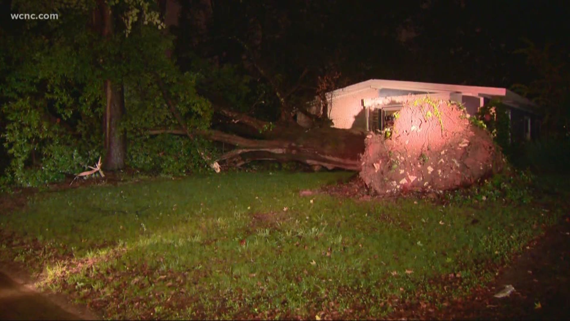 Severe storms knock down trees, cause flooding in the Queen City | wcnc.com