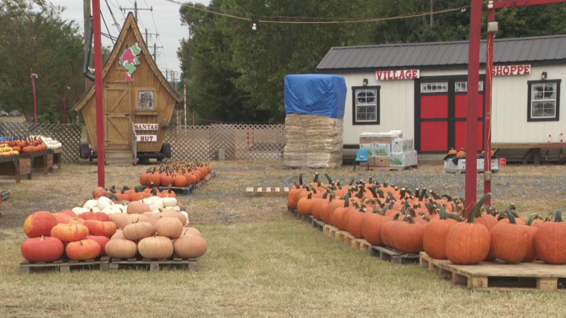 Panthers cut players ahead of NFL 53-man deadline | wcnc.com