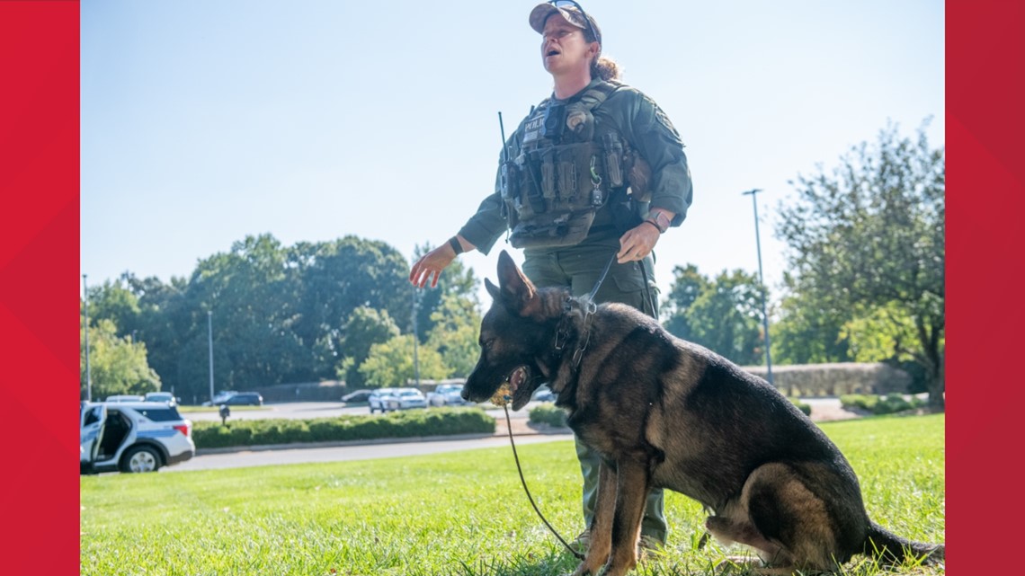 CMPD K9, officer find assault suspect hiding under boat dock | wcnc.com