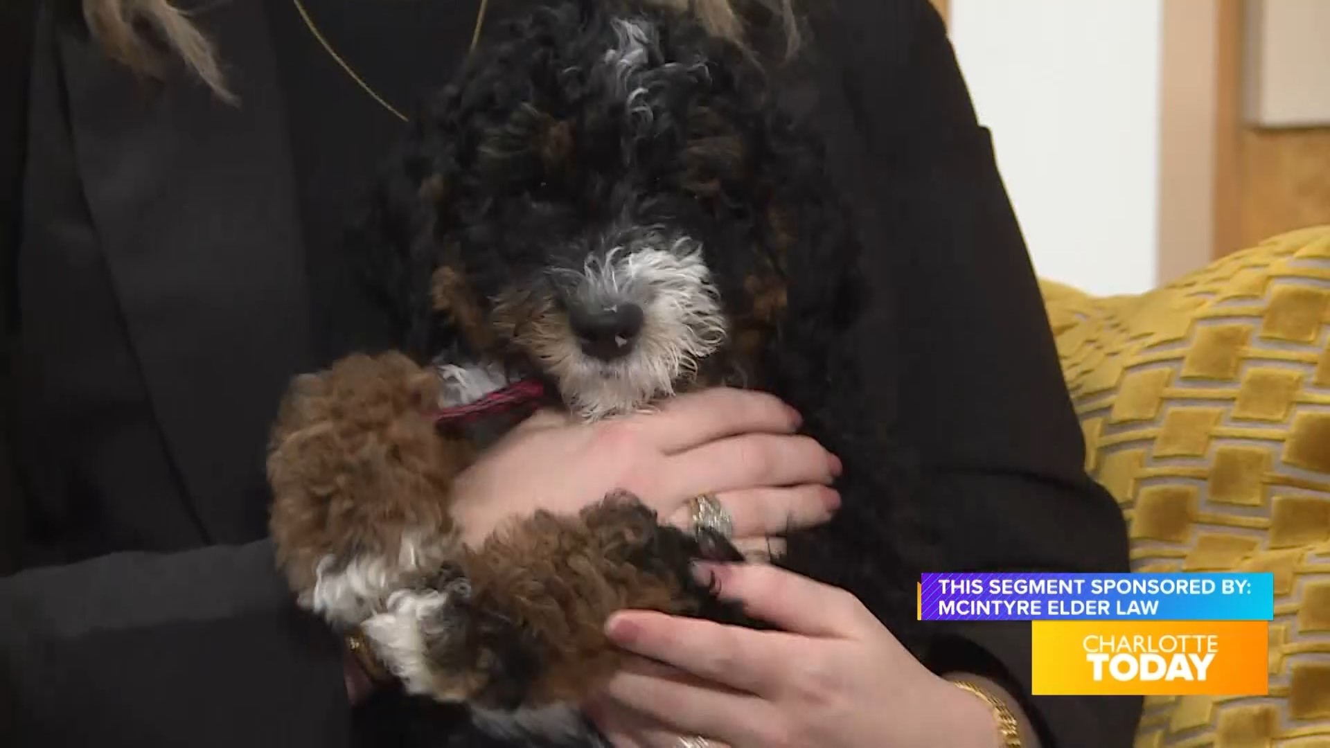 Pets are part of the family, so make sure to include a 'Pet Trust' when ...