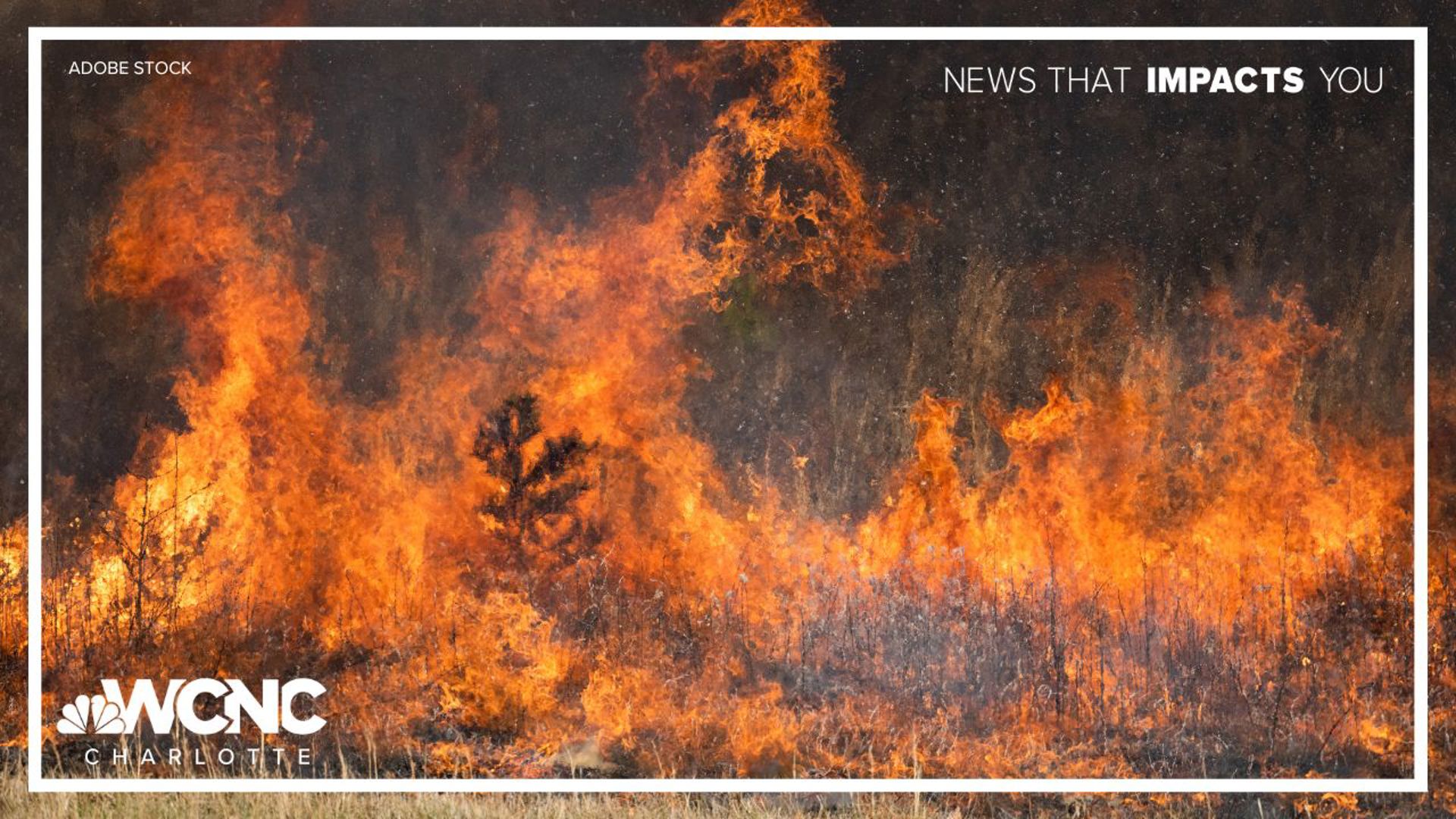 Mandatory evacuations in Polk County due to raging wildfires | wcnc.com