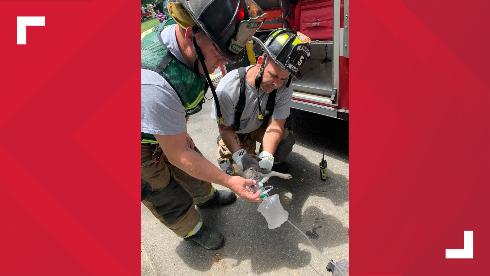 What we know: Tyler Terry and Adrienne Simpson's relationship | wcnc.com